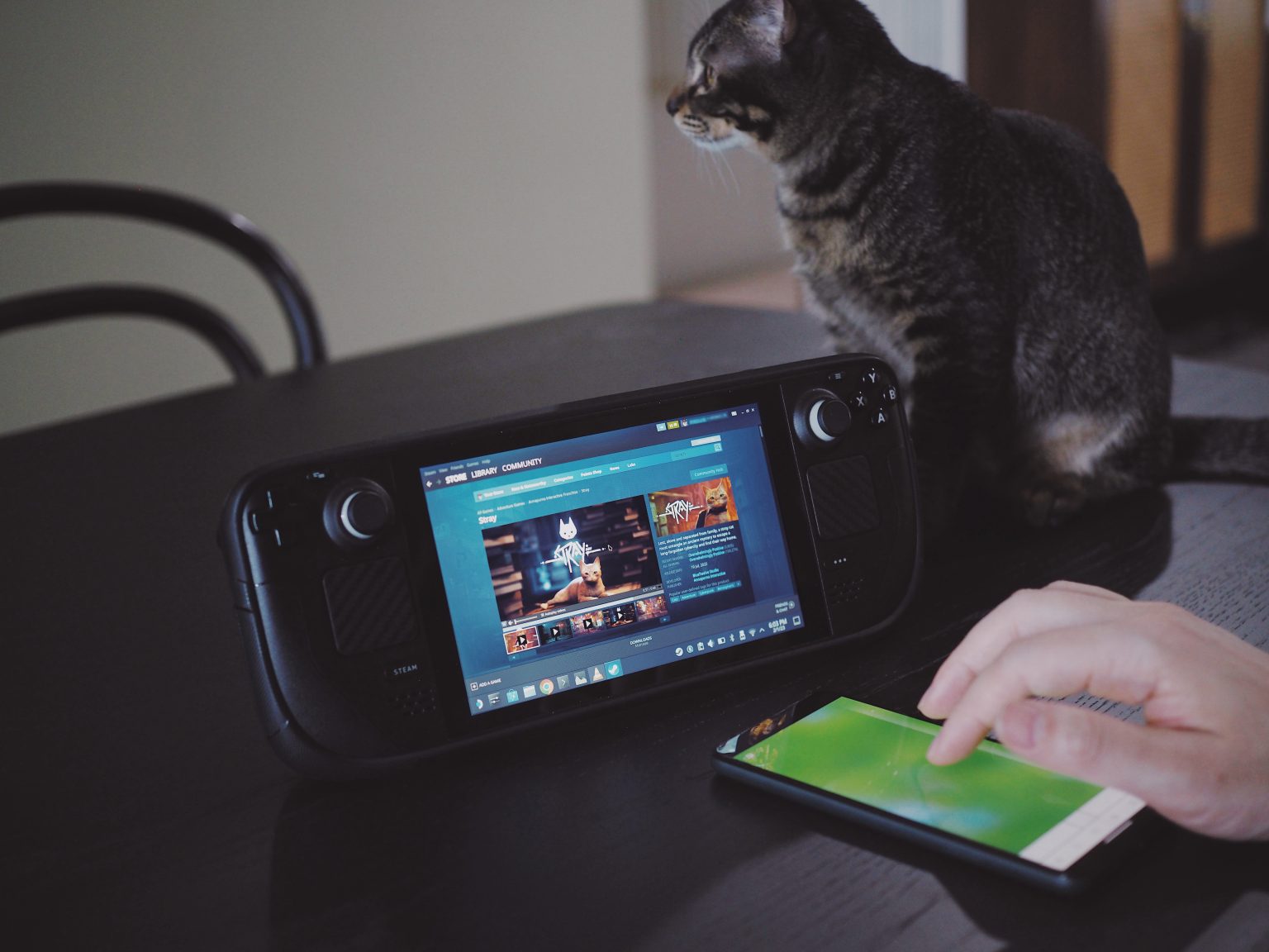 Support for Steam Deck! – Remote Mouse – News & Tips